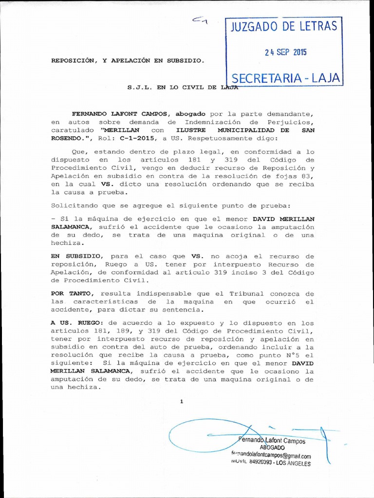 Repone Auto Prueba | PDF