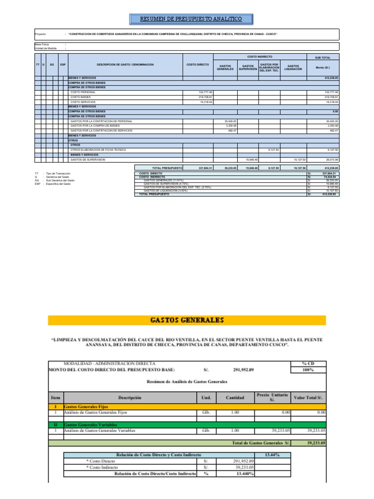 Presupuesto Analitico | Descargar gratis PDF | Presupuesto | Sector privado