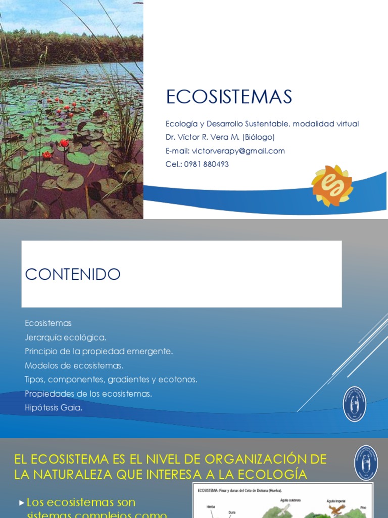 Clase 3 Ecosistemas | PDF | Ecosistema | Organismos