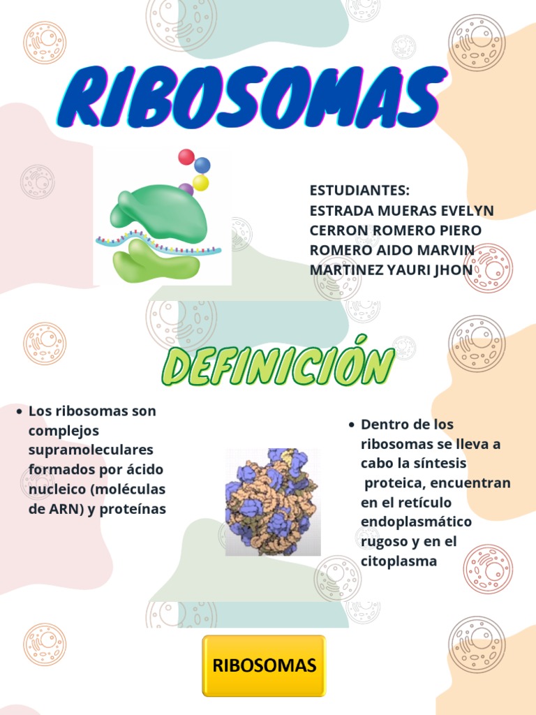 RIBOSOMAS | PDF