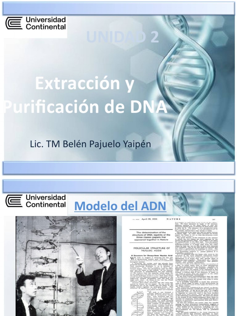 CLASE 5 Extracción y Purificación de ADN | PDF | Adn | Ciencias de la vida