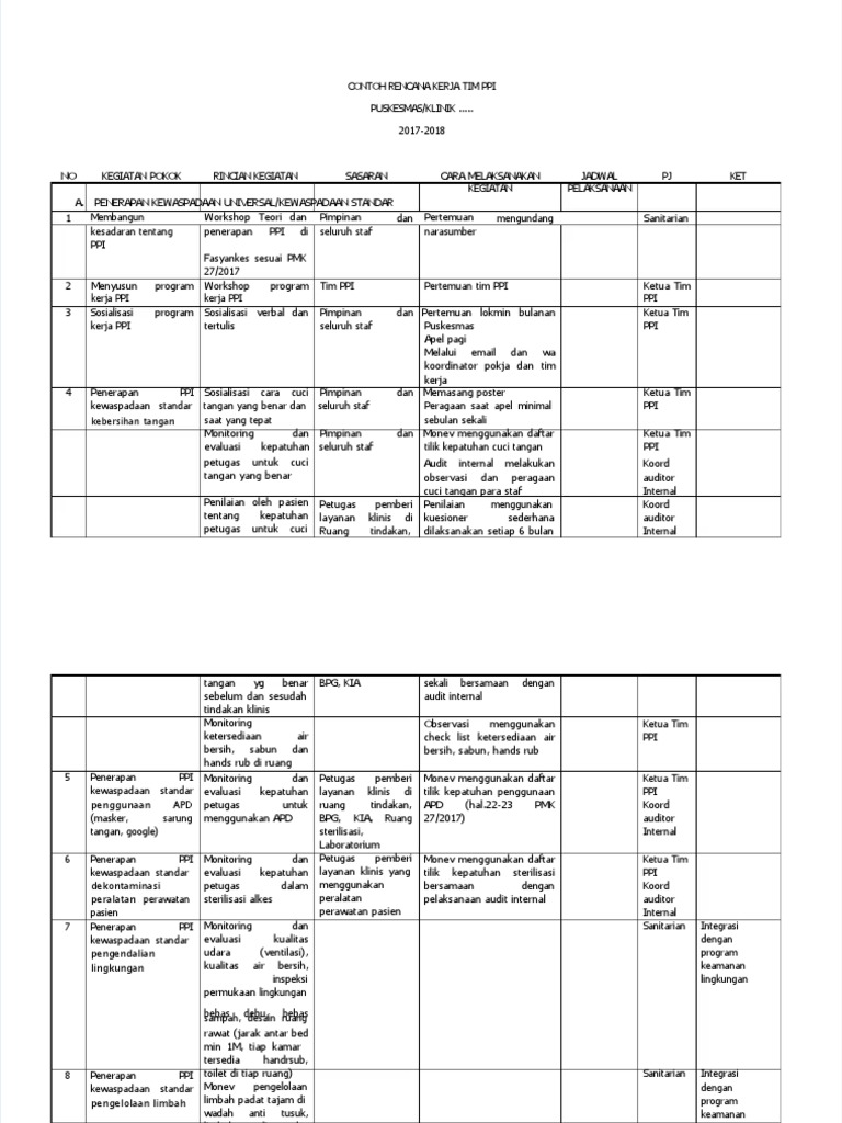 PDF Program Kerja Tim Ppi | PDF