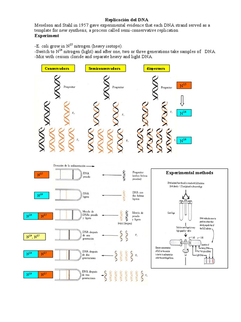 Replicación | PDF