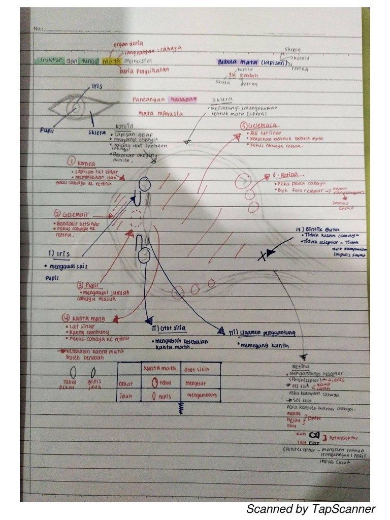 Nota Sains (Mata) Tingkatan 3 | PDF