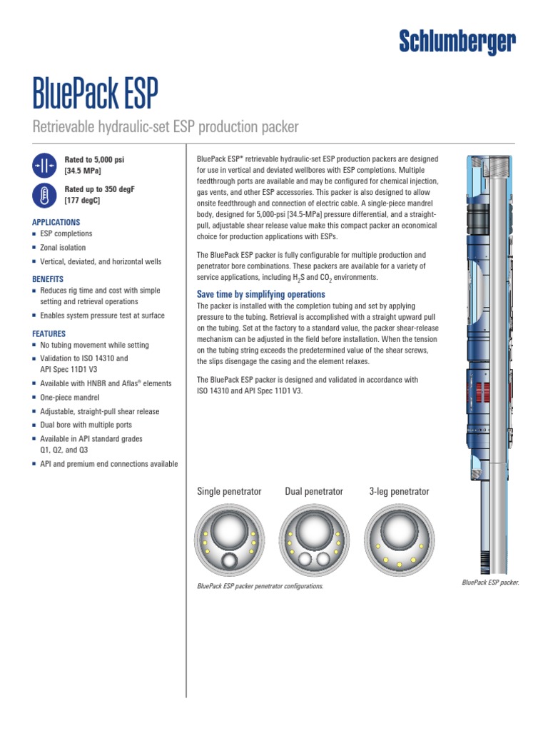 Bluepack Esp Ps | PDF | Manufactured Goods | Equipment