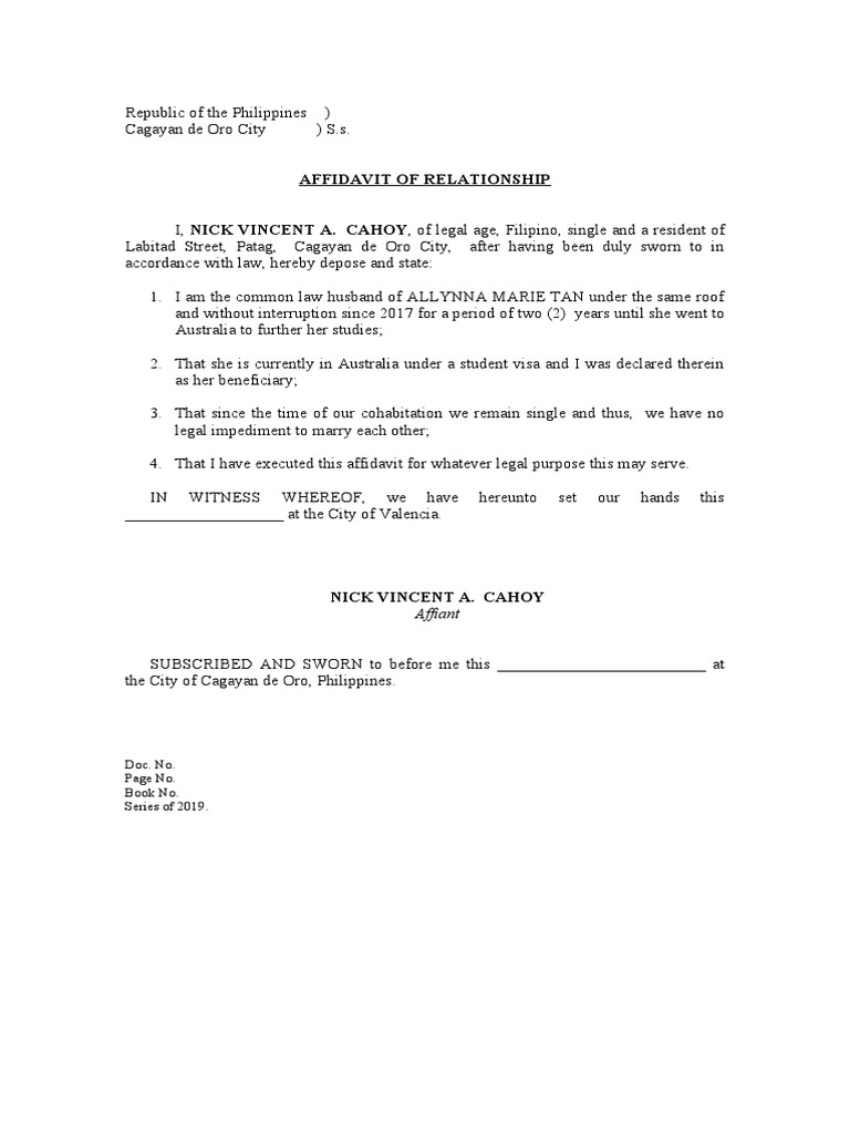 Affidavit - Nick Cahoy | PDF | Politics