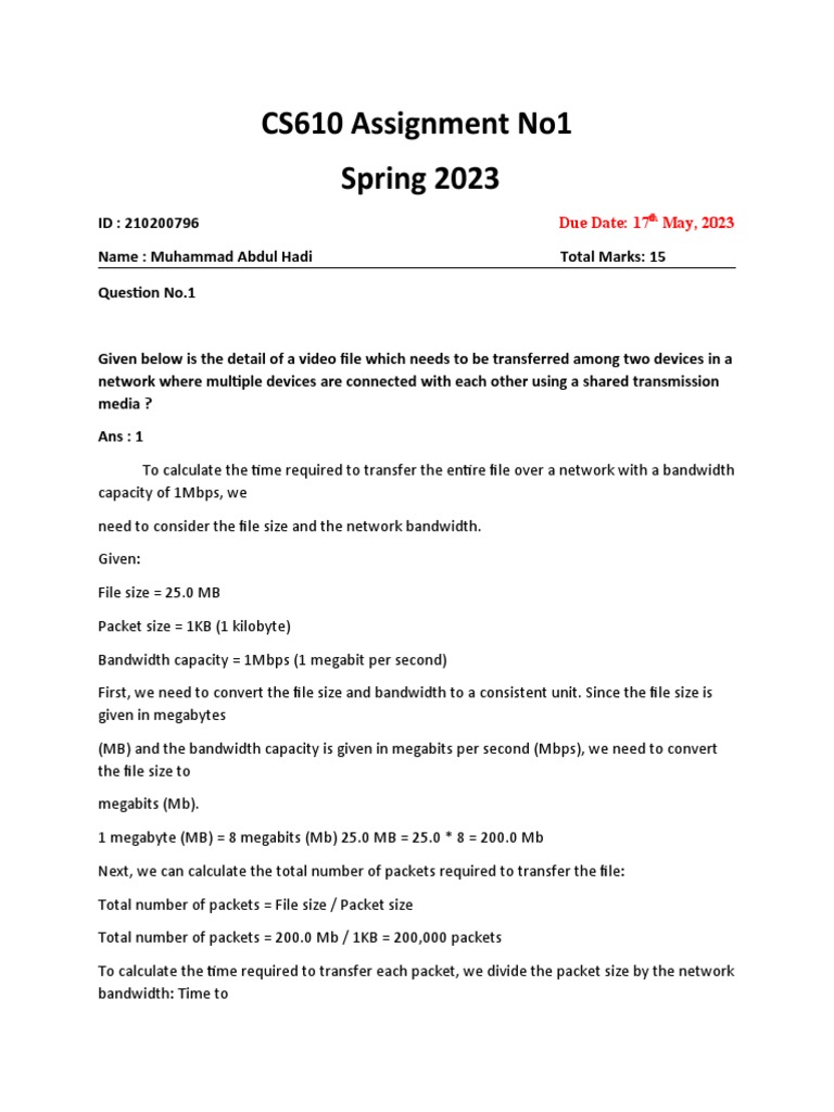 CS610 Assignment No1 Solved by Hadi | PDF