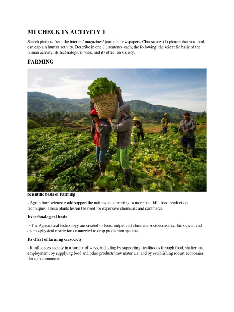 Understanding Farming's Impact on Society | PDF