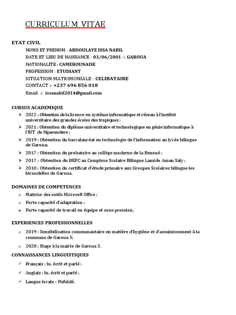 CV d'Abdoulaye Issa Nabil | PDF