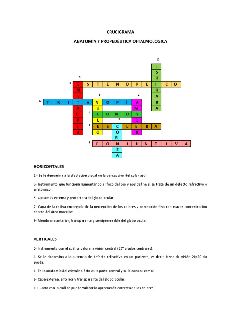 Crucigrama Anatomía | PDF | Ojo humano | Percepción visual