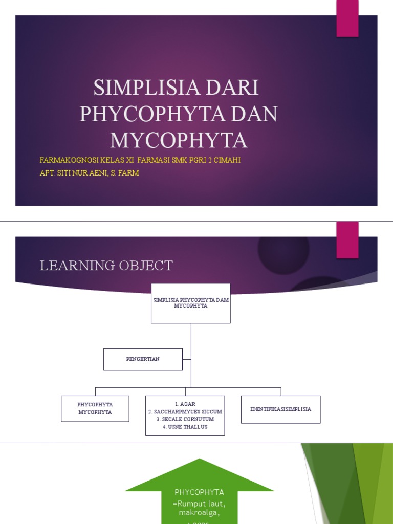 Simplisia Phycophyta Mycophyta | PDF | Sains & Matematika