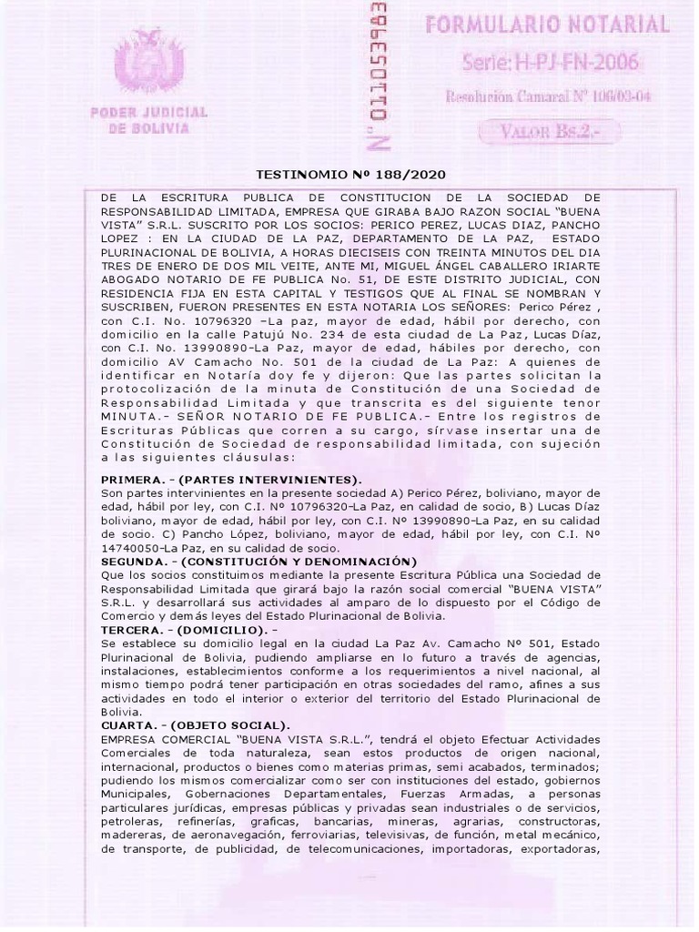 Testimonio de Constitucion Gabinete | PDF | Bolivia | Sociedad