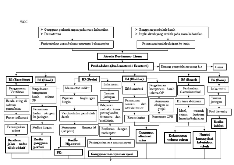 WOC Hal 1 Atresia Ileum Post Op | PDF