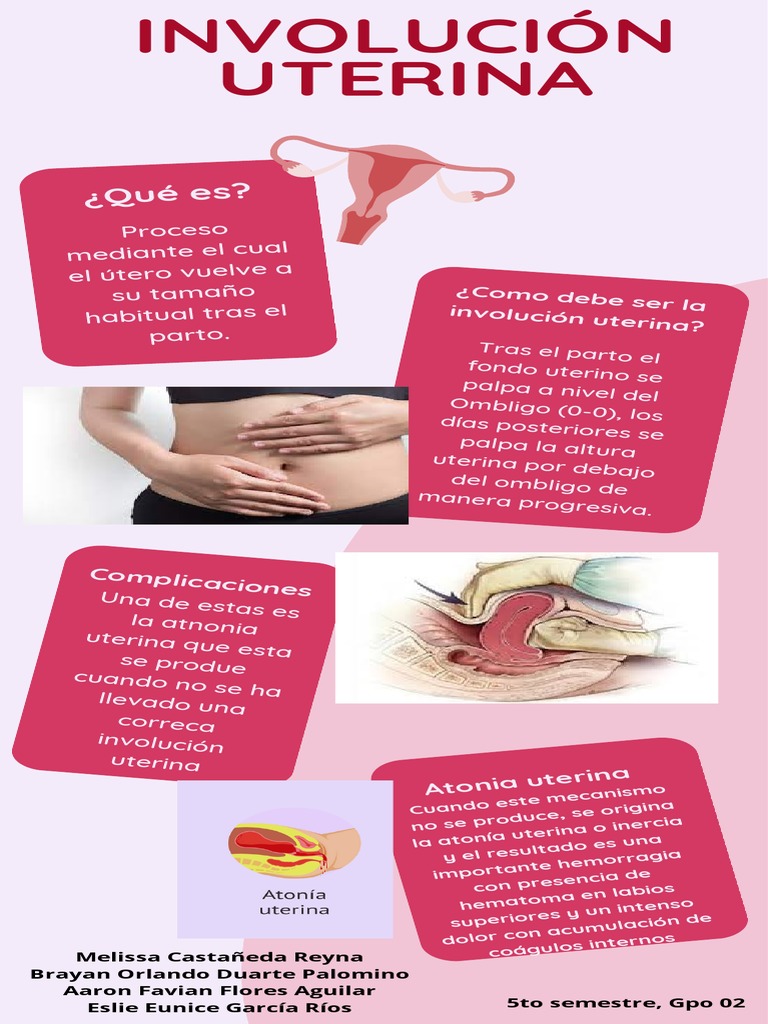 Involución Uterina | PDF