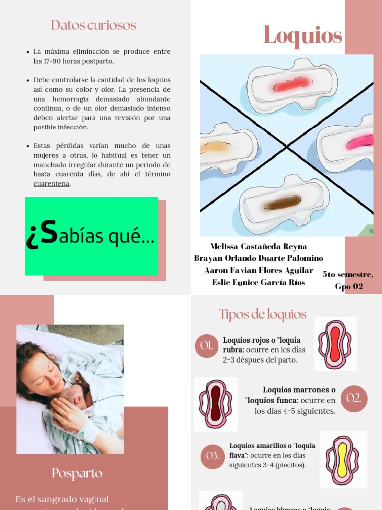 Clasificación de loquios postparto | PDF