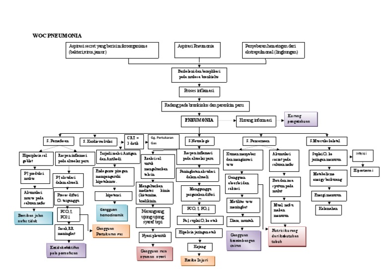 WOC PNEUMONIA New | PDF