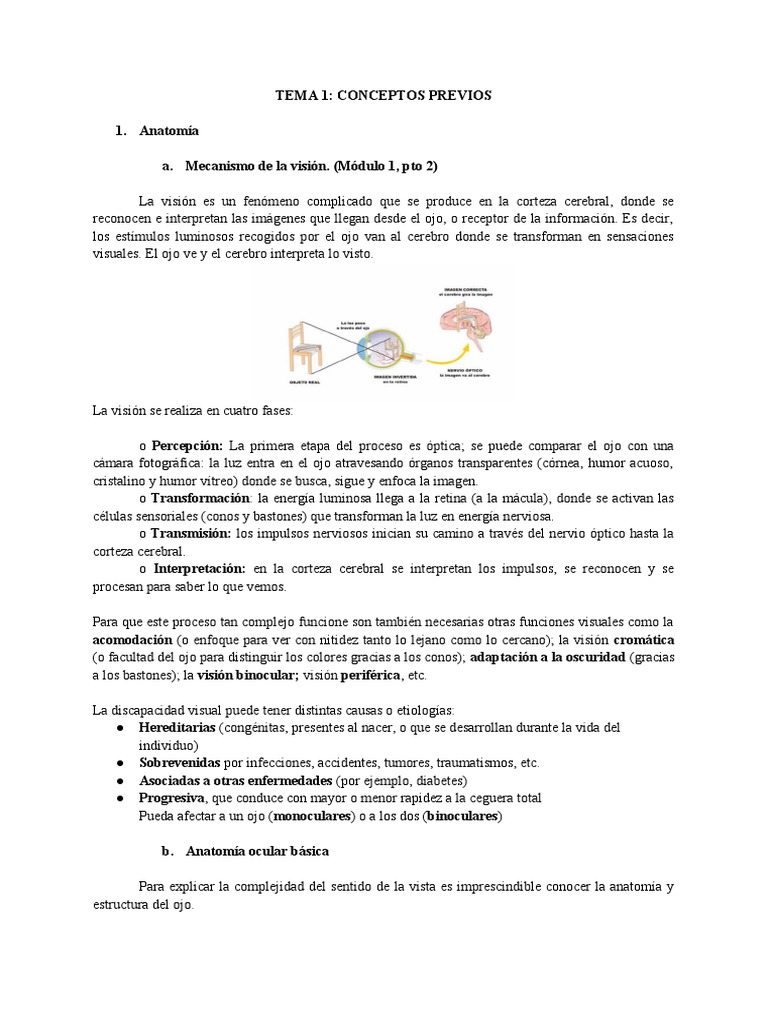 Tema 1_ Conceptos Previos | PDF | Ojo humano | Percepción visual
