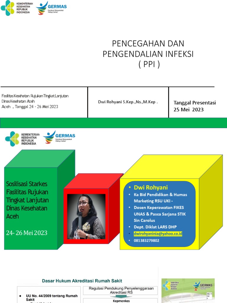 PPI Dinas Kesehatan | PDF