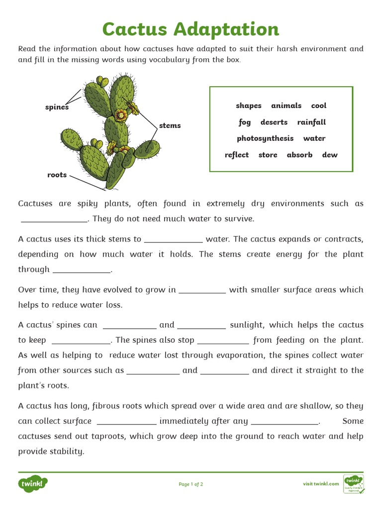 SCIENCE 18TH JAN-cactus-Adaptation - Ver 3 | PDF | Plants | Water