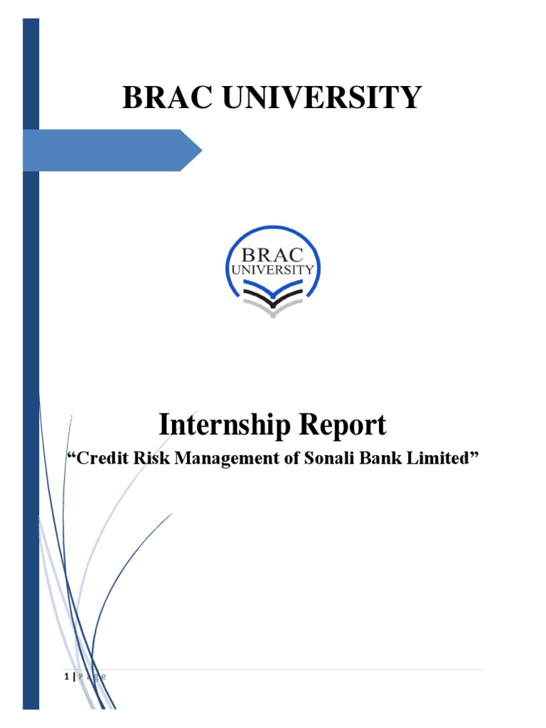 Brac University: Internship Report | PDF | Loans | Banks