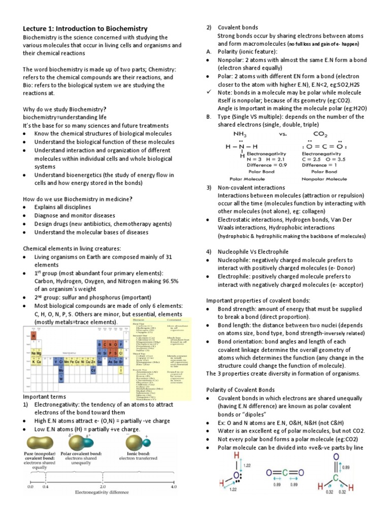 Biochemistry L1 | PDF | Philosophy | Science & Mathematics