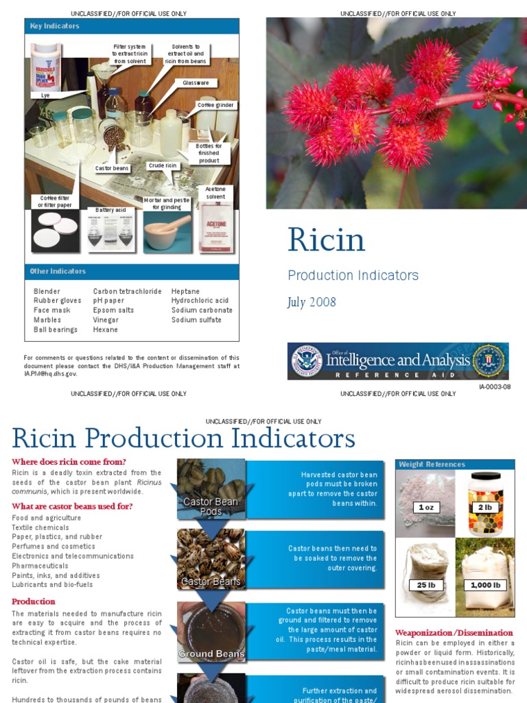 Ricin Production Indicators | PDF | Physical Sciences | Chemical Compounds