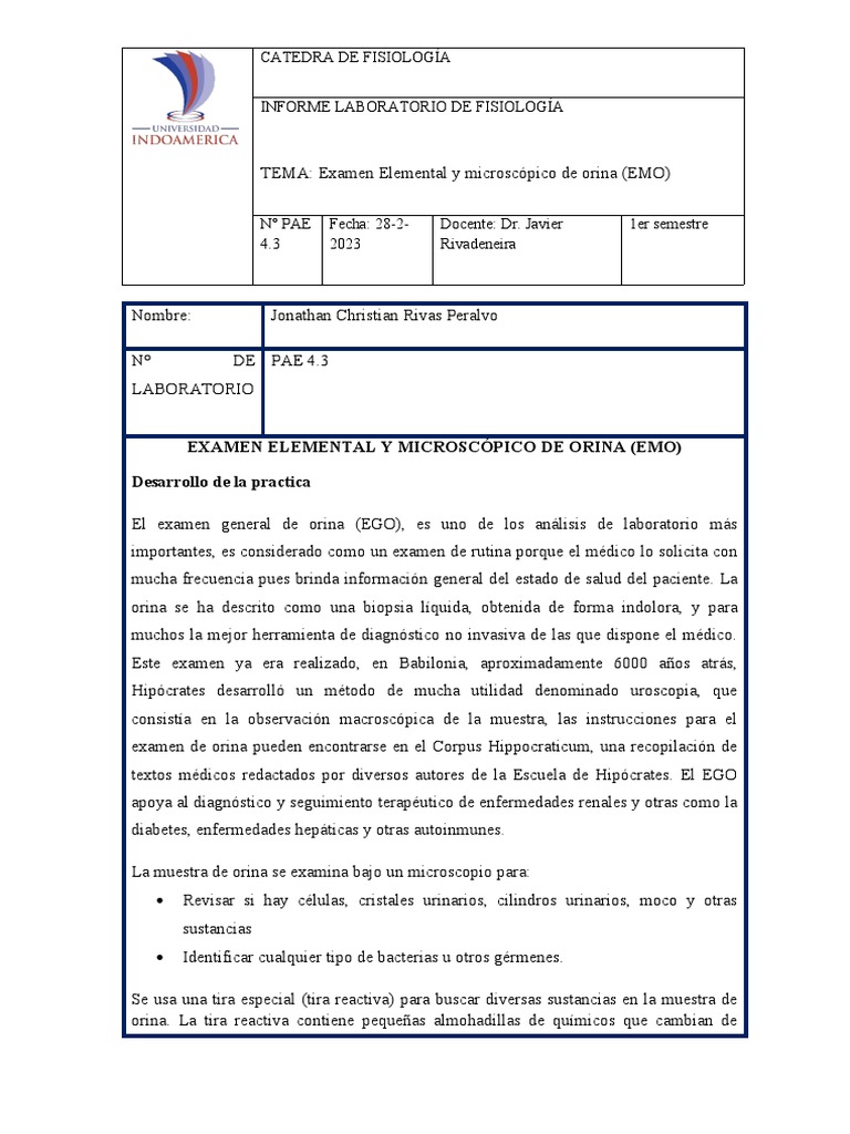 Examen Microscópico de Orina: Informe EGO | PDF | Laboratorios ...