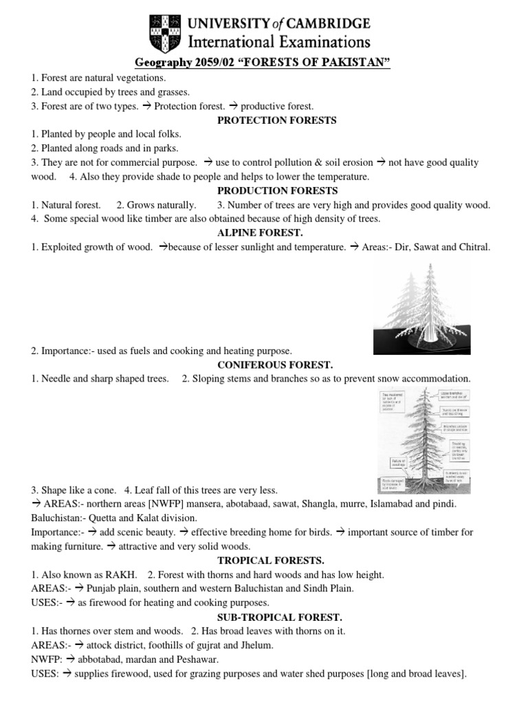 Geography Forest | PDF | Forests | Trees