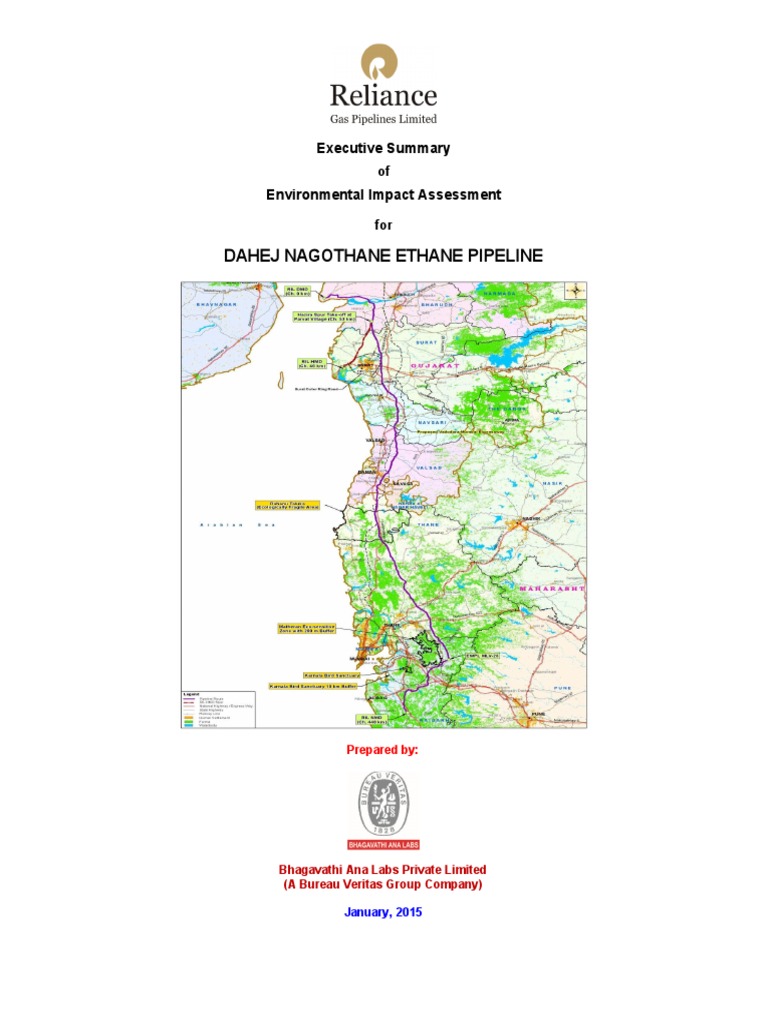 Nagothane Reliance Report | PDF | Environmental Impact Assessment ...