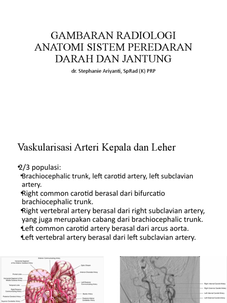 Gambaran Radiologi Anatomi Sistem Peredaran Darah Dan Jantung | PDF ...