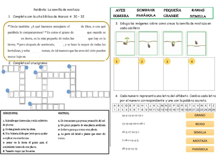 Actividades sobre la semilla de mostaza | PDF