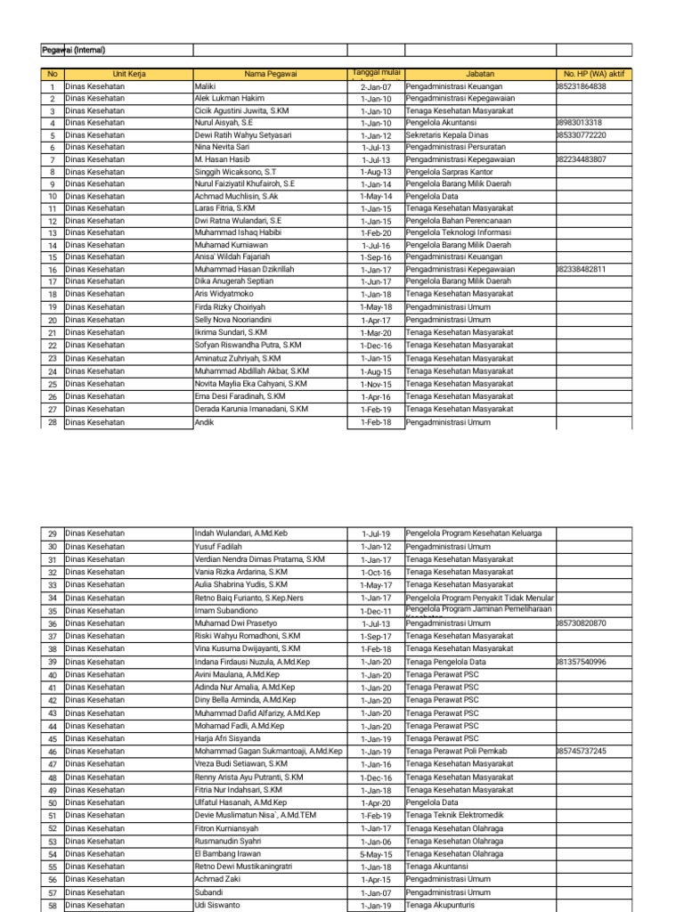 Format Data Populasi Internal Dan Eksternal e-SPI 2021-DINKES | PDF