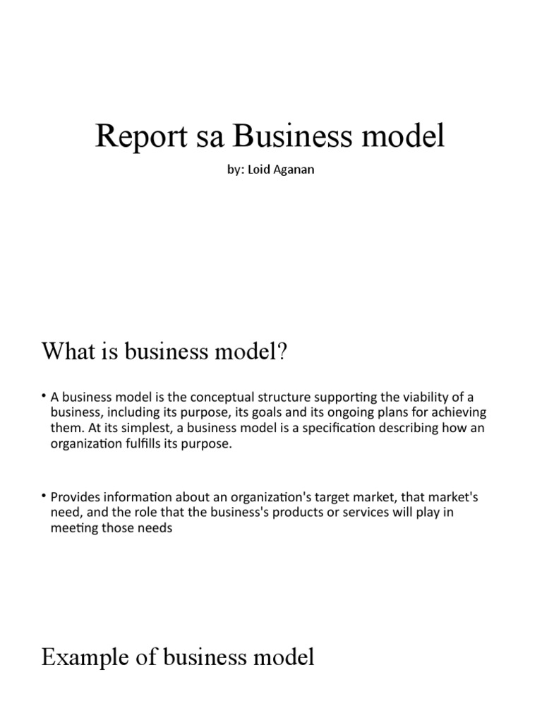 Report Sa Business Model | PDF | Business Model | Market Segmentation