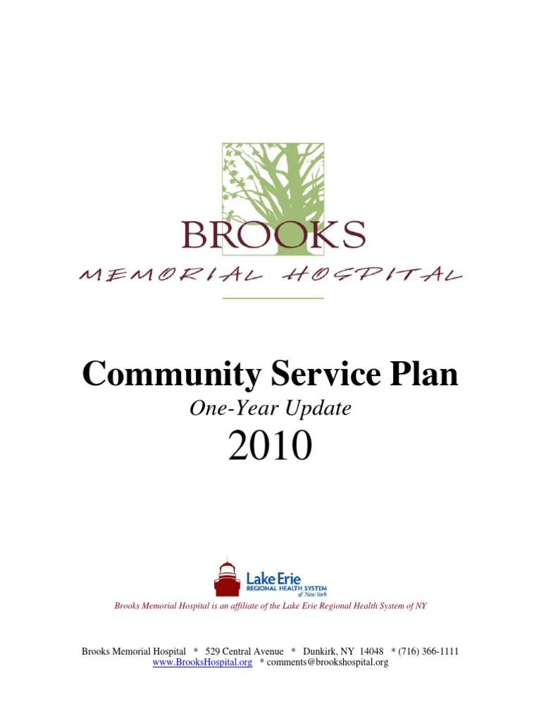 Community Service Plan: One-Year Update | PDF | Breastfeeding ...