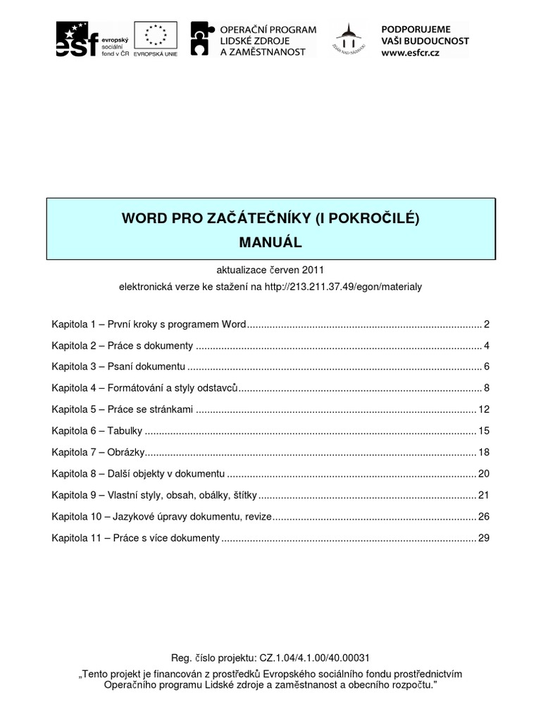 Word Manual | PDF