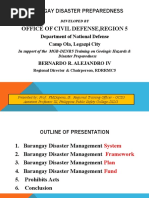 BARANGAY DISASTER RISK REDUCTION & MANAGEMENT (BDRRM) PLAN 2025 | PDF ...