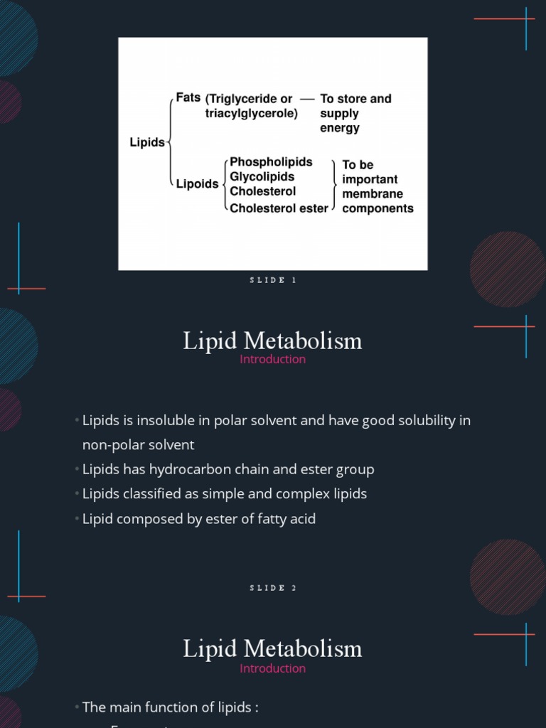 Lipid Metabolism | PDF | Lipoprotein | Lipid