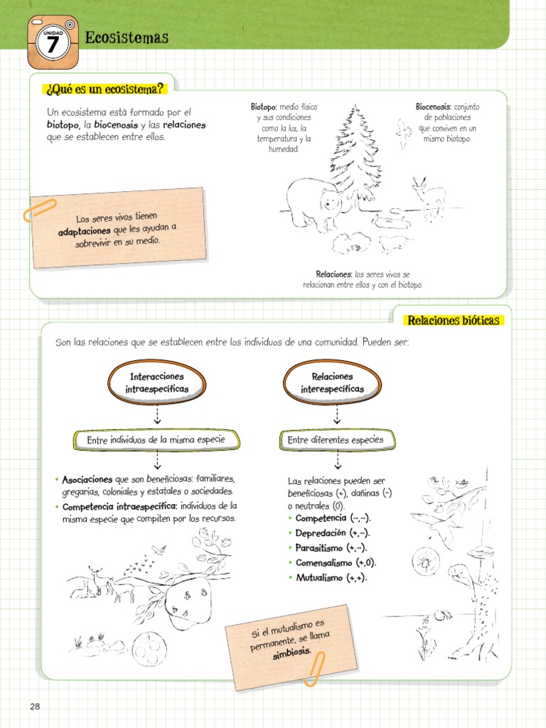 Introducción a los Ecosistemas y Biomas | PDF | Suelo | Ecosistema