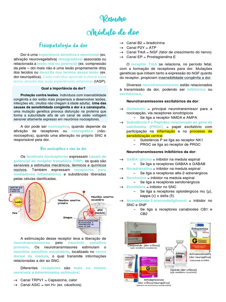 Resumo - Módulo de Dor | PDF