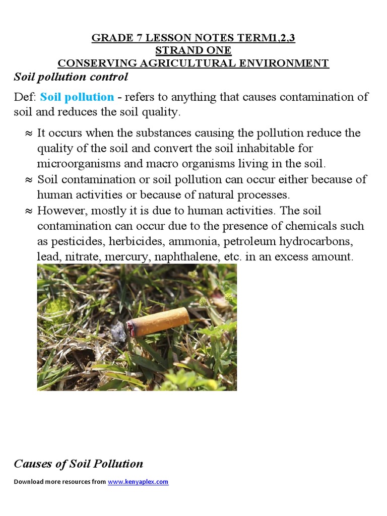 Agriculture Grade 7 Term 1,2,3 | PDF | Tillage | Soil