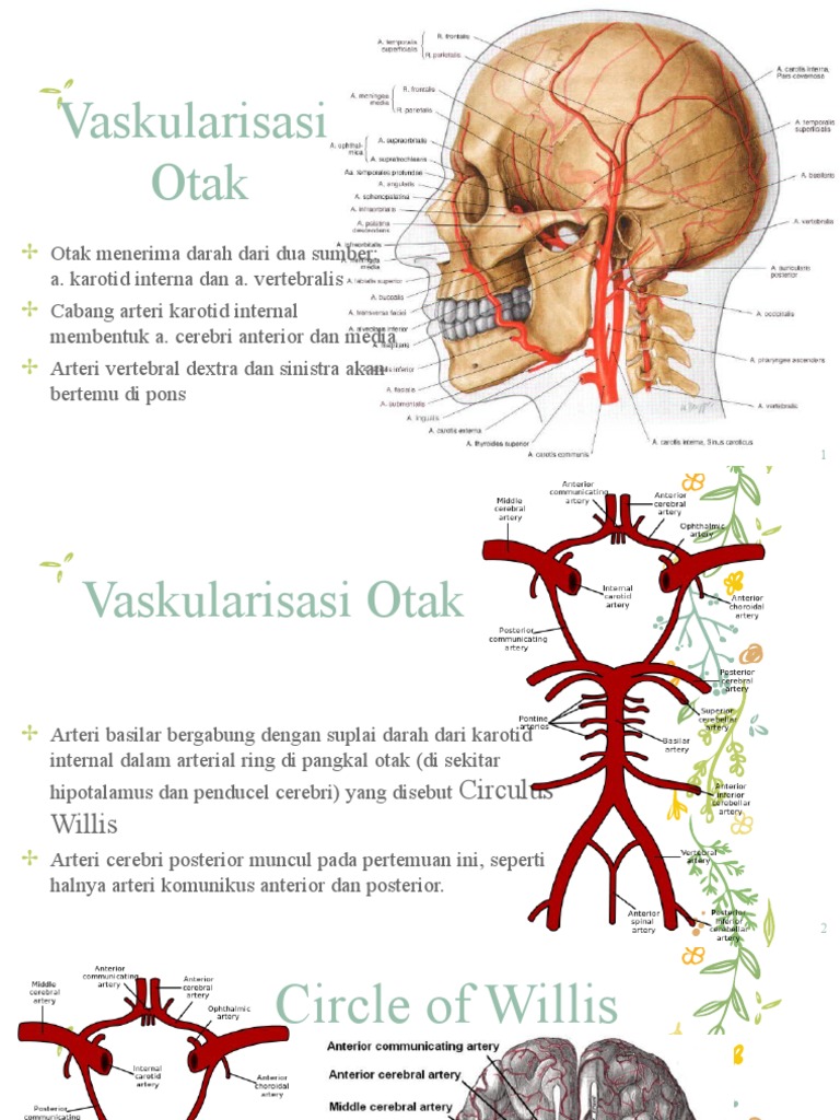 K11. Vaskularisasi Otak | PDF