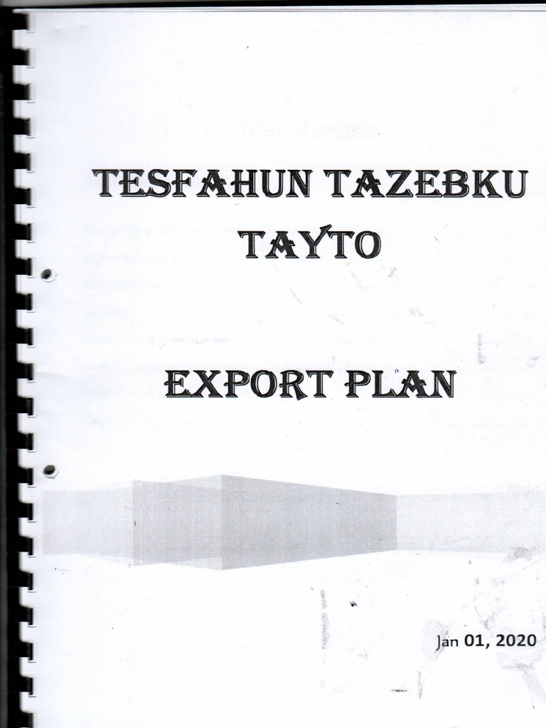 Tesfu Export Business Plan | PDF