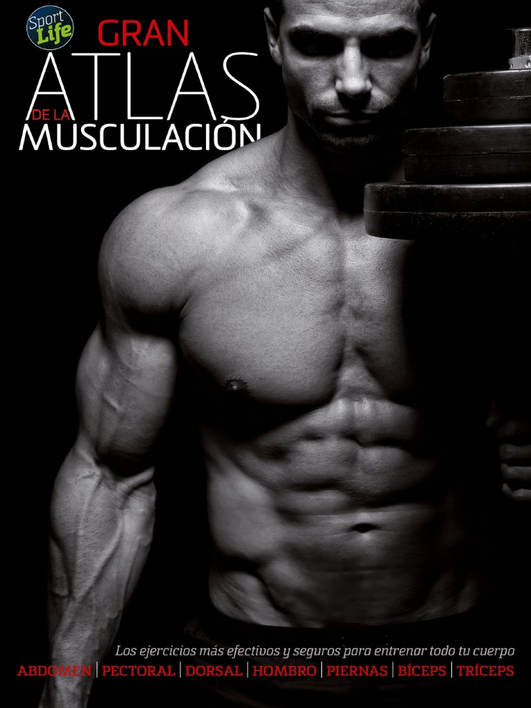 Atlas Musculacion SportLife | PDF | Músculo | Entrenamiento de fuerza
