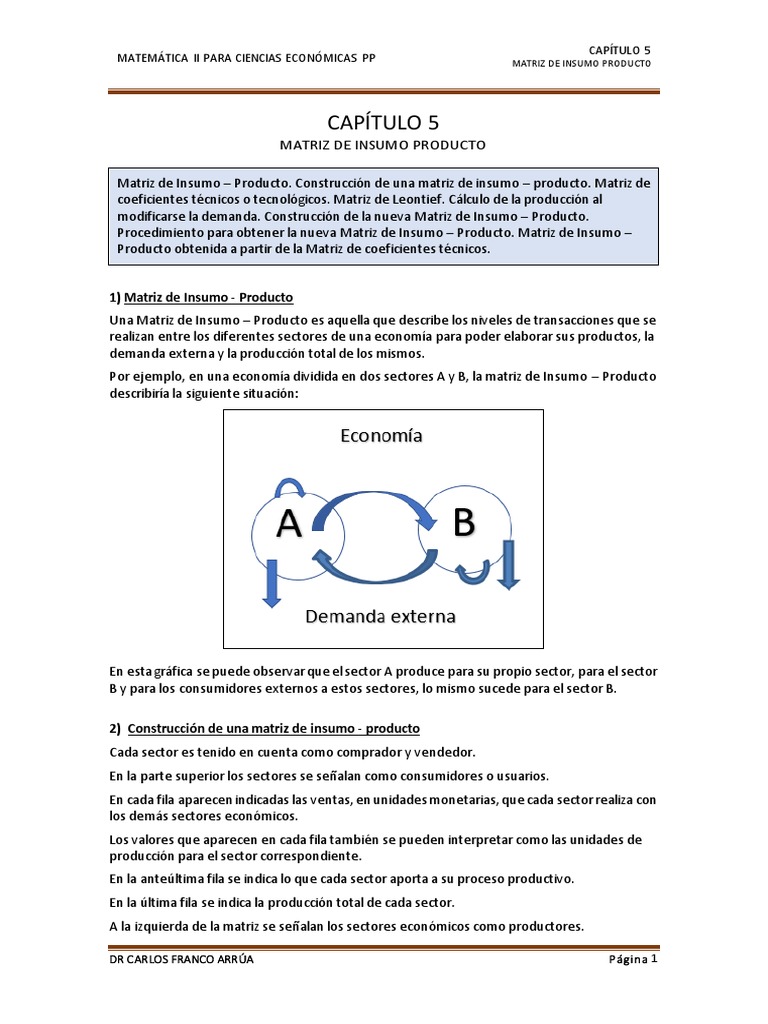 5° Capítulo - Matriz de Insumo Producto | PDF