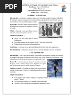 Instrucciones para el juego Atrapa la Cola | PDF