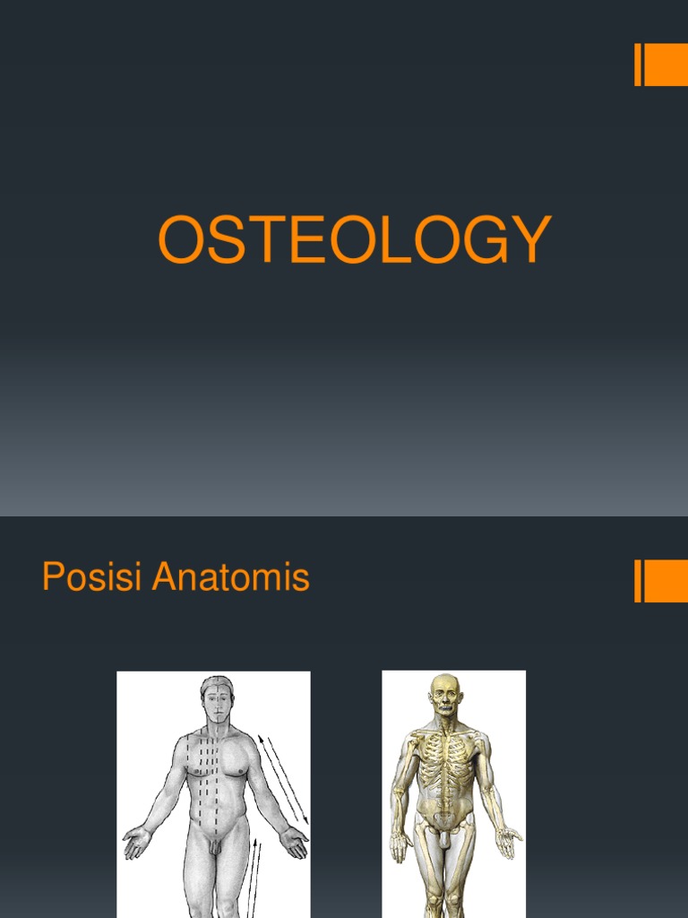 Osteologi 1 | PDF