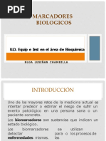 Abomasitis Micotica | PDF | Estómago | Úlcera péptica