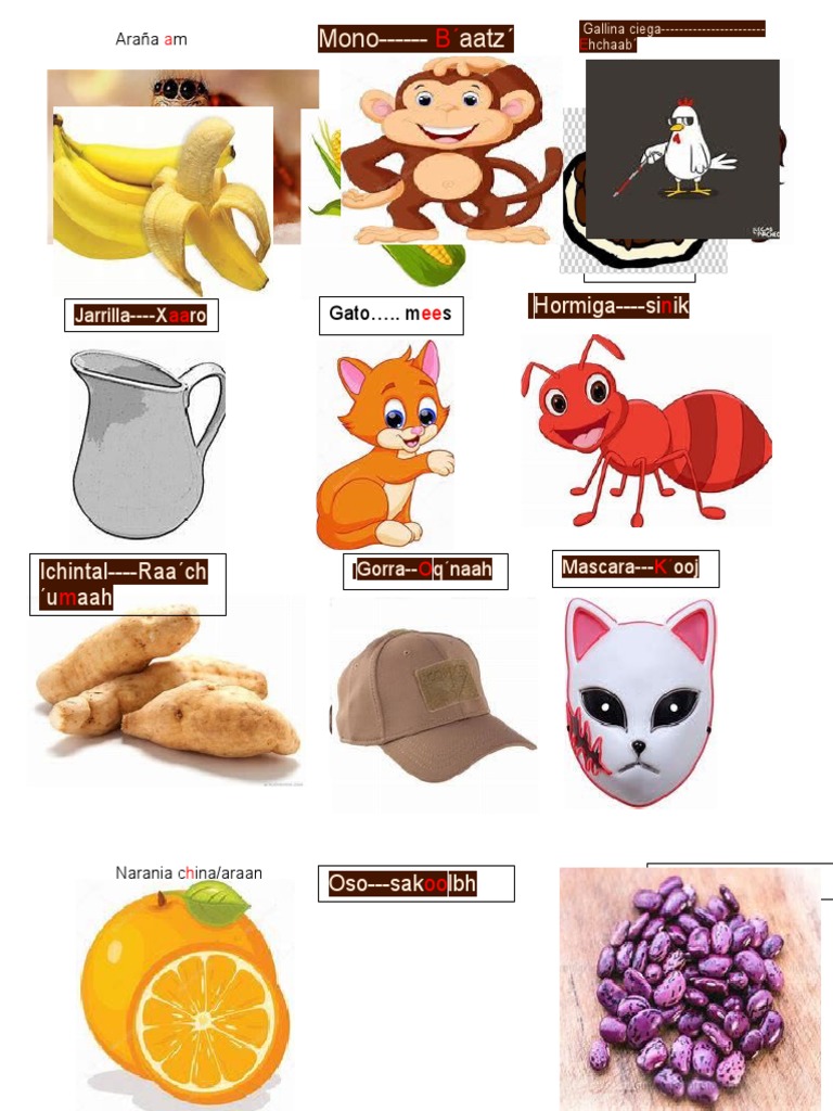 Abecedario en Poqomchi | PDF