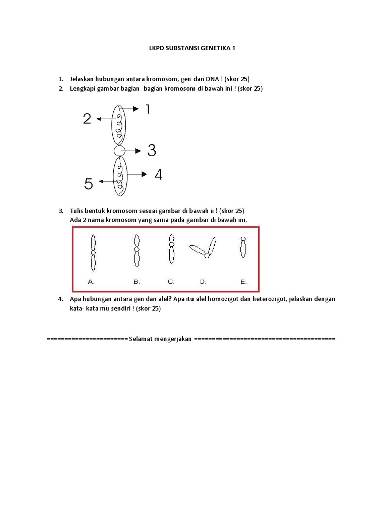 LKPD Substansi Genetika 1 | PDF