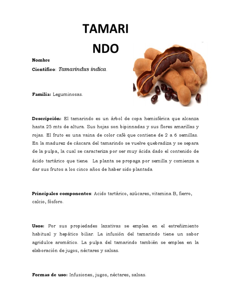 Tamarindo | PDF | Plantas | Botánica